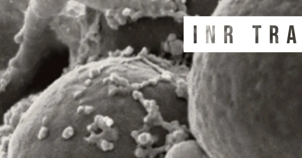 INR Tracking App to Track Your INR & Vitamin K