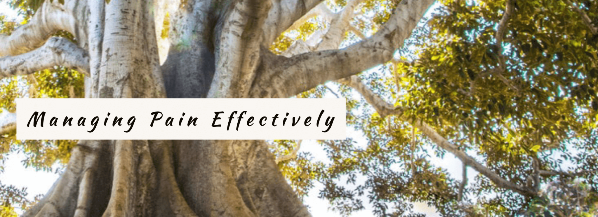 Pain Log: Track and Manage Your Pain Daily