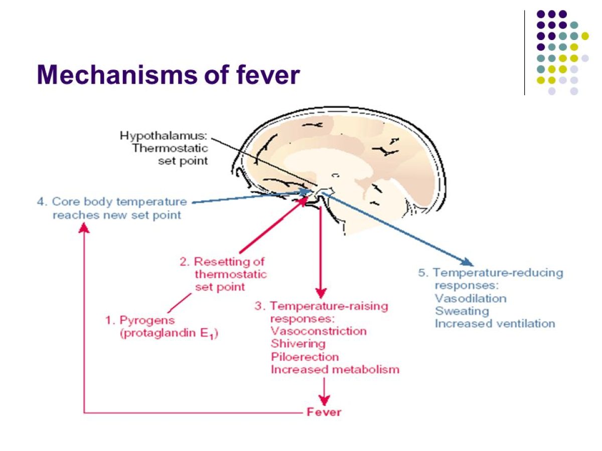Fever Tracker App to Log Symptoms, Temp, and Medications