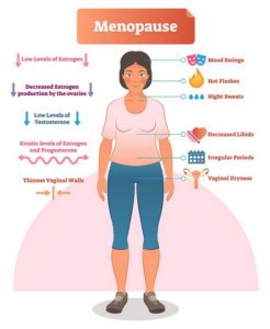 Menopause Tracker App: Track Transition and Erratic Periods