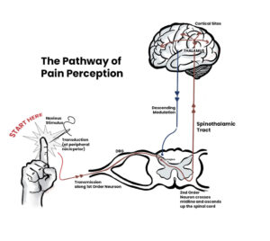 Tips for Managing Pain: Simple Pain Relief Techniques