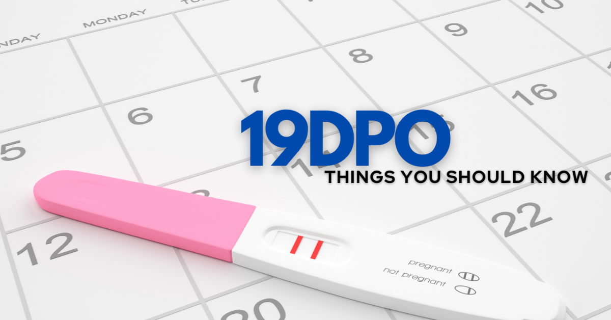 19 DPO - Understanding BFP & BFN and Pregnancy.