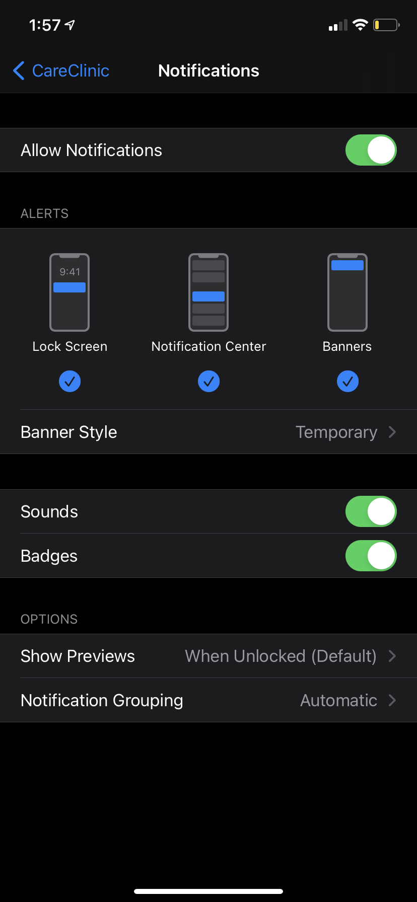 What are Medication Alerts and How to Attain Medication Adherence