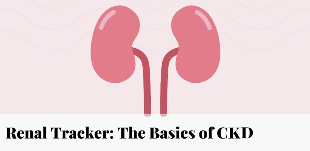 Renal Tracker - Kidney Smart