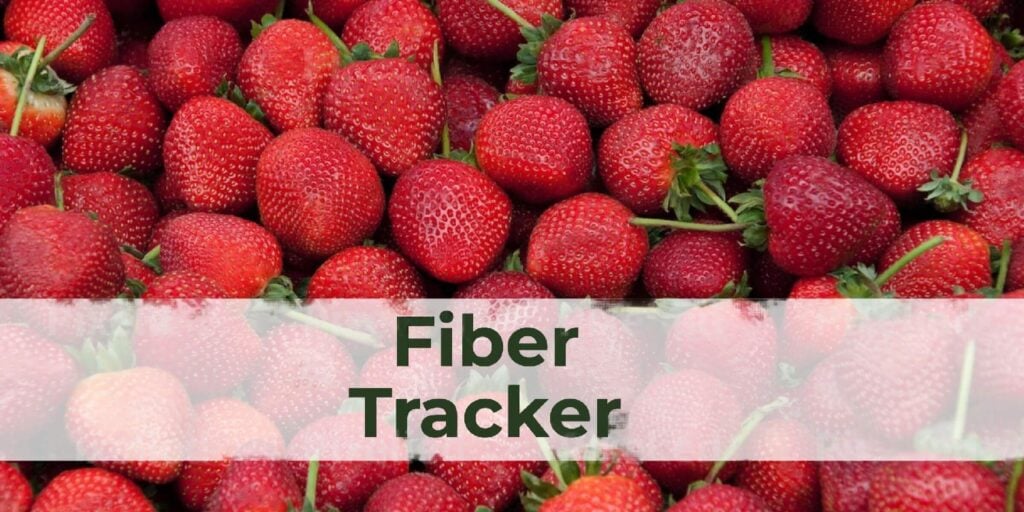 Fiber Tracker: How To Calculate and Track Your Fiber Intake