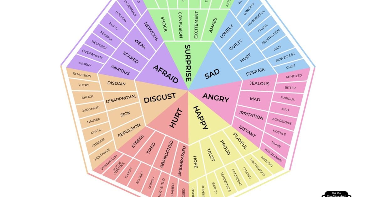 The Feelings Wheel PDF: A Guide to Managing Emotions